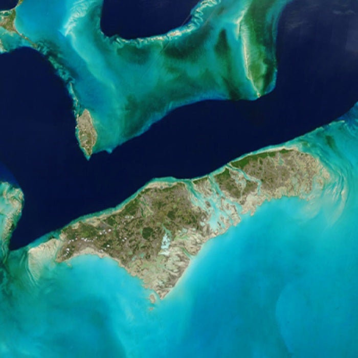 The Bahamas | Texas Global