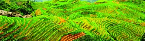 Apply to UT CELTA | Texas Global