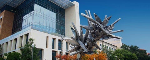 Research on Language Learning Yields Mitchell Prize for UT Austin ...