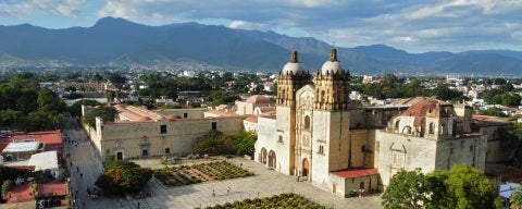 Codifying Nahua Knowledge on Cochineal Cultivation in Sixteenth-Century ...
